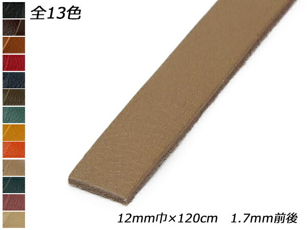 ■型番：Phimo0280■商品名：アリゾナレース■販売価格：770円（税込）　/　700円（税抜）■メール便について：メール便（220円）対応商品です。■発送予定目安：4日以内（日祝日は除く）■色：全13色、黒/焦茶/茶/赤/紺/緑/ター...