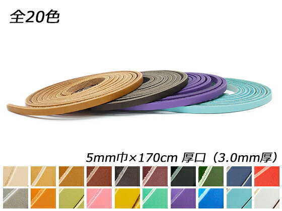 ■型番：Phimo0100■商品名：ドエリアレース 厚口■販売価格：429円（税込）　/　390円（税抜）■メール便について：メール便（220円）対応商品です。■発送予定目安：4日以内（日祝日は除く）■色：全20色、生成/キャメル/茶/チョ...