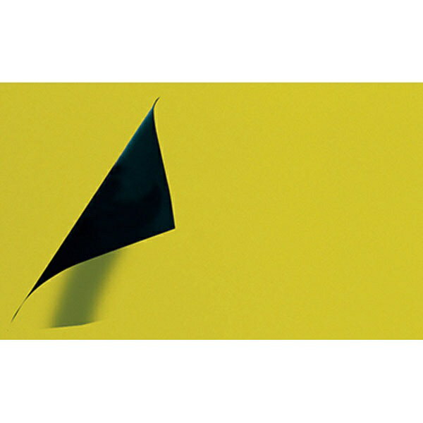 ■マジック等で文字を書いて使用するマグネットシート ■必要な寸法にはさみやカッターで簡単に切れます ■シート状なので曲面にも貼り付けられます ■ホワイトボード用のマーカーで書き消しが出来ます ■サイズ：200×100×0.8（mm） ■重量...