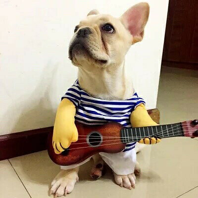 普段見たことのないようなかわいい姿が見られて、愛しさ倍増！ご自宅のワンちゃんとの記念の一枚にいかがでしょうか？2号から5号のサイズも取り扱っていますので、購入されたい方はコメントお願いします。3号：首周り25~30cm，胸周り38cm-45...