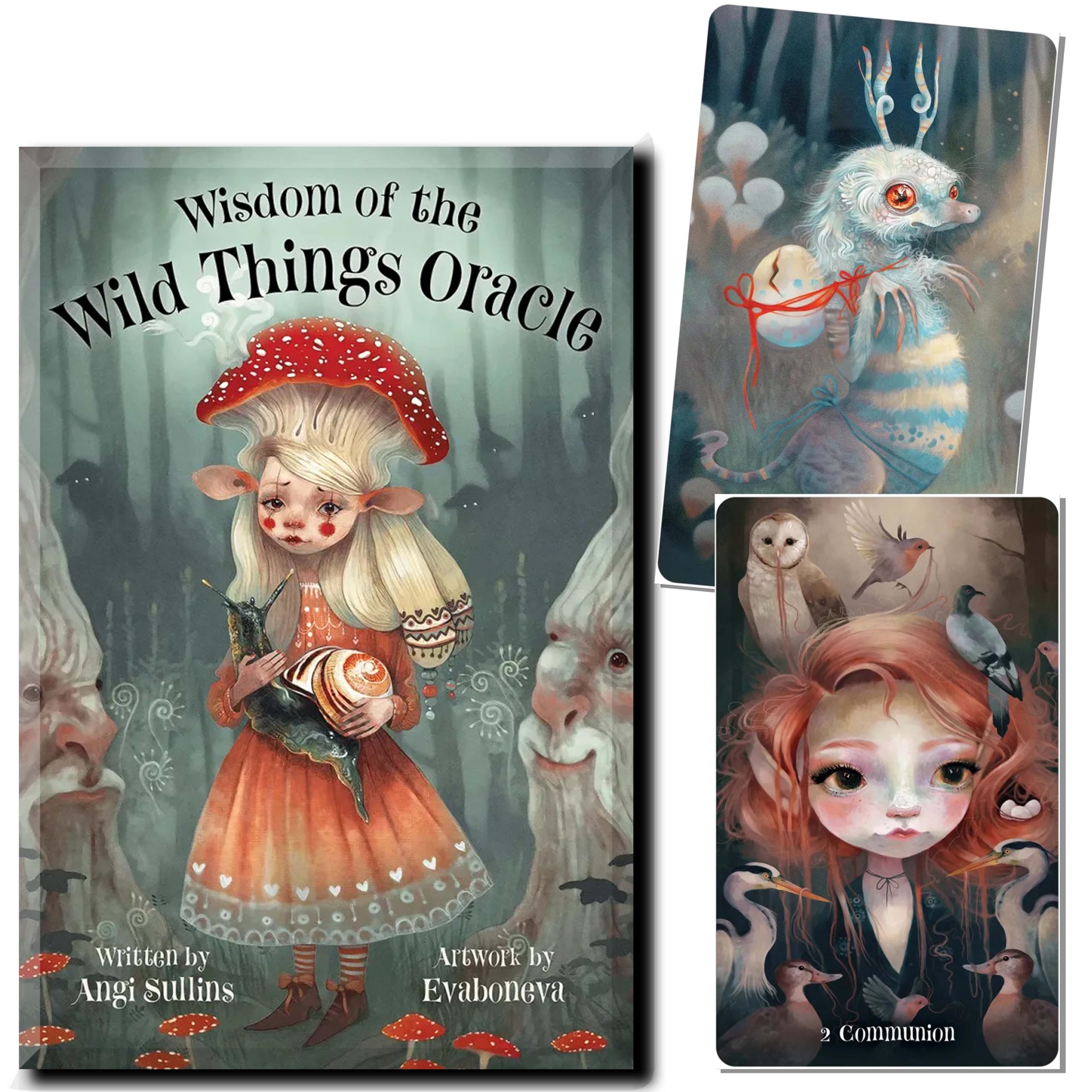 • 内容：カード　45枚、メーカーオリジナル英文ガイドブック、日本語ガイドブック