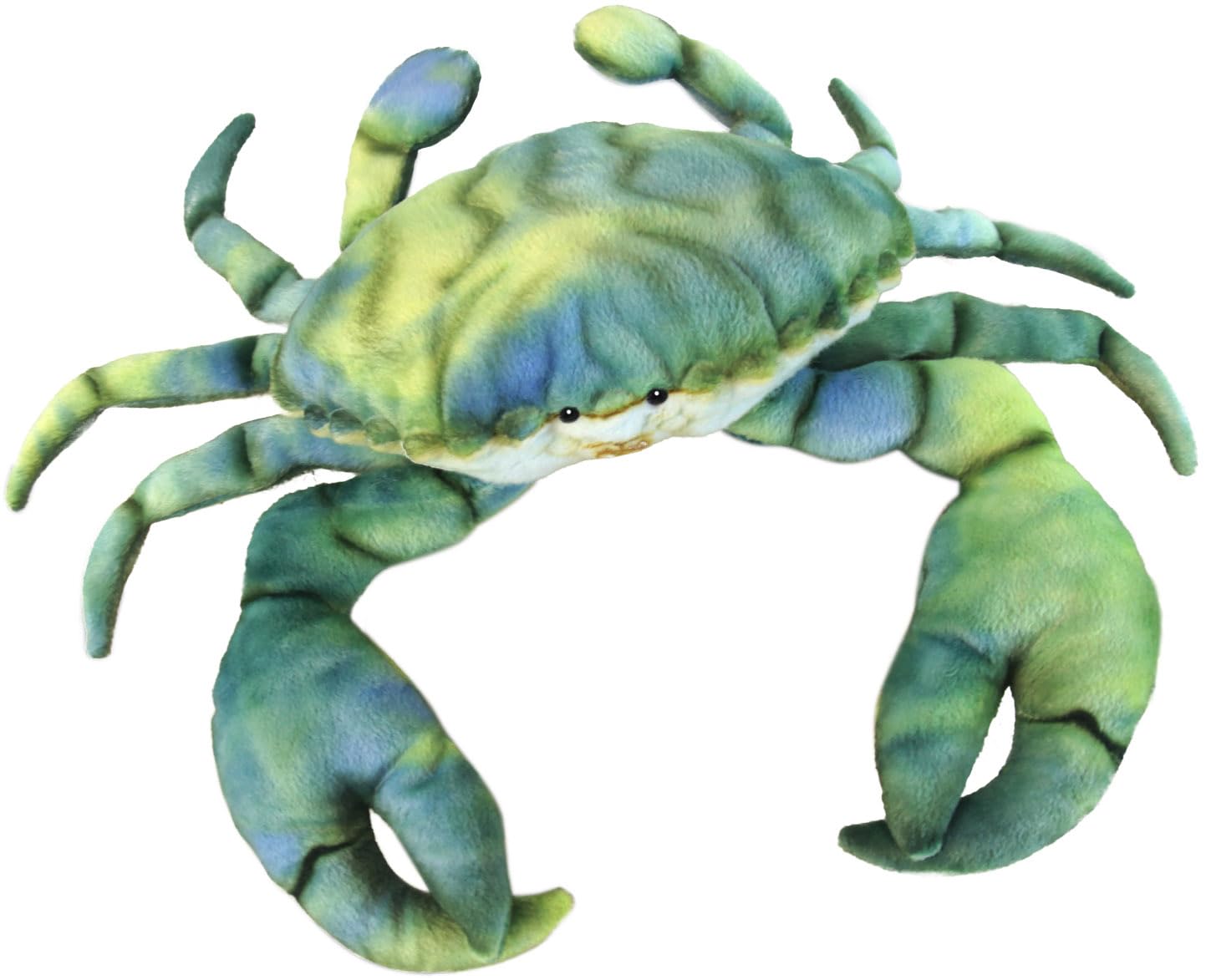 • リアルな動物のぬいぐるみ • 甲殻類：ガザミ • 【HANSAとは】1972年にオーストラリアで創業して以来、地球上に生息する動物を中心に様々な生物を研究し、細部までリアルに再現したぬいぐるみを製造しております。すべてのHANSA製品は...