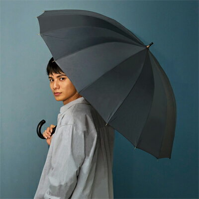 MEN's 65cm 無地16本骨 413-002 大人気の紳士16本骨傘 ●65cmジャンプ×親骨グラスファイバーで強い風からのガード力は抜群です。 ※重さ・サイズは目安です。 商品名 MEN's65cm 無地16本骨 413-002 サ...
