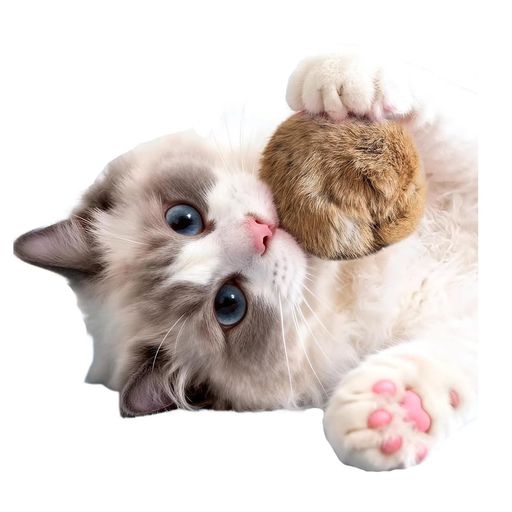 【セット内容】1個入り。【素材】ウサギの毛+キャットニップ+虫こぶ果実 【猫用ボール】ボールは転がり、追いかけ、巧みに取り、蹴り飛ばし、しゃぶり、持ち運びできます。猫が存分に楽しめるように設計されています。 【高品質素材】着色料や添加物を一...
