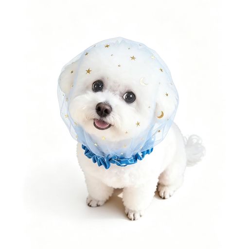 アクティブ 【愛犬の散歩を、安心に変える】散歩中、道に落ちている危険な異物や毒物を愛犬が口にしてしまうことは、重大な事故や中毒の原因になります。本製品は、そのような「拾い食い」を物理的に防止。あなたの大切な家族を、誤食による危険から確実にガ...