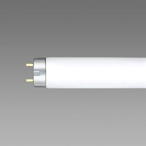 店舗 事務所 直管蛍光灯8W 寸法管径15.5x管長287mm 質量30g口金G13 全光束350lm寿命3000時間 適合グローランプFG7E、FG7P