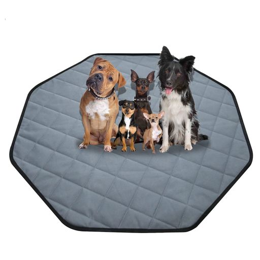 このペット用尿パッドは、中小型犬、猫、ウサギ、ハムスター、モルモット、その他の動物に適しています。妊娠中、授乳中、失禁、糖尿病などのケアが必要なペットに特に適しています。床だけでなく、ソファ、ペットトイレ、ペットベッド、犬小屋、ペットバッグ...