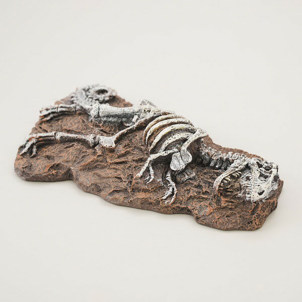 【注意事項】 ・メーカーの都合等により、パッケージ及び内容量、生産地、などが変更される場合がございます。ご了承ください。 ・当店では地球環境への配慮およびお手頃価格での商品の提供のため、簡易的な梱包とさせていただいております。 ・箱潰れなど...