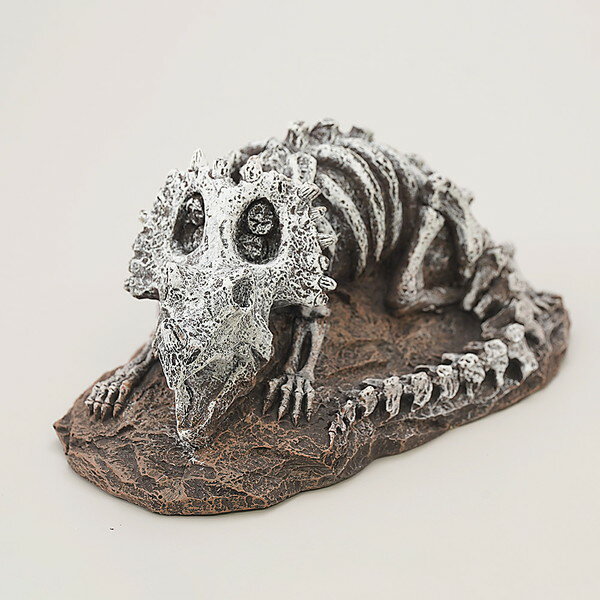 【注意事項】 ・メーカーの都合等により、パッケージ及び内容量、生産地、などが変更される場合がございます。ご了承ください。 ・当店では地球環境への配慮およびお手頃価格での商品の提供のため、簡易的な梱包とさせていただいております。 ・箱潰れなど...