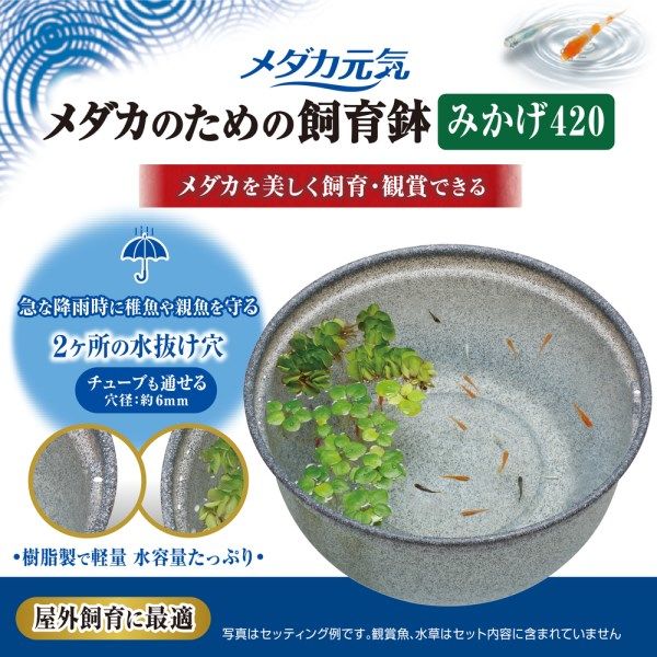 【注意事項】 ・メーカーの都合等により、パッケージ及び内容量、生産地、などが変更される場合がございます。ご了承ください。 ・当店では地球環境への配慮およびお手頃価格での商品の提供のため、簡易的な梱包とさせていただいております。 ・箱潰れなど...