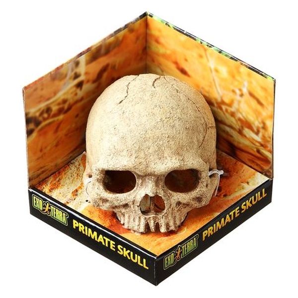 【注意事項】 ・メーカーの都合等により、パッケージ及び内容量、生産地、などが変更される場合がございます。ご了承ください。 ・当店では地球環境への配慮およびお手頃価格での商品の提供のため、簡易的な梱包とさせていただいております。 ・箱潰れなど...