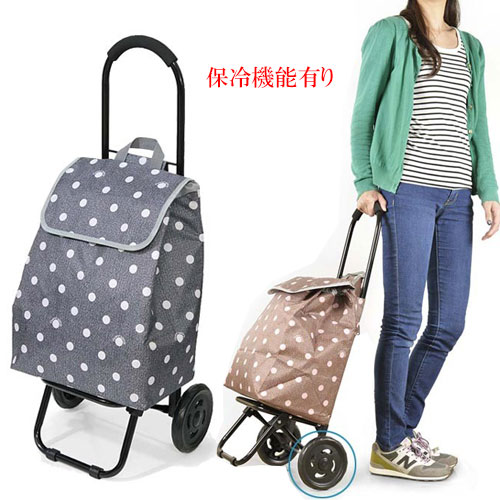 ◆◇◆POINT◆◇◆ 重たい荷物を丸ごと運べる便利なキャリーケース。耐荷重約10kg。 持ち運びに苦労するペットボトル、ビール、お米(10kg以内)などがラクラク運べる。 スリムに折り畳めてかさばらない。使わない時は解体してコンパクトに。...