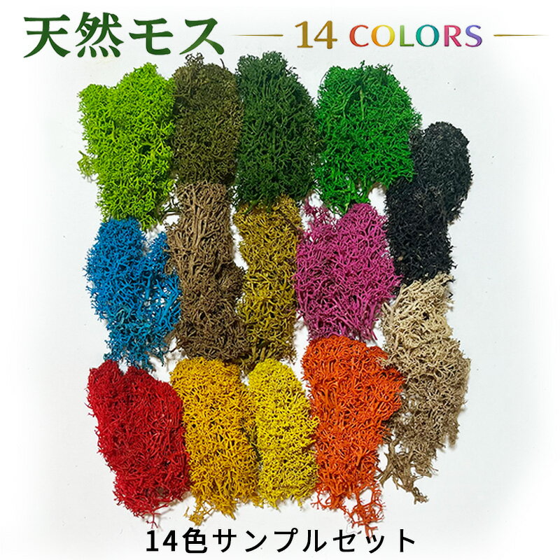 商品名 MOSSWALL piece(モスウォール ピース） 通称名 レインディアモス (となかいこけ）フィンランドではトナカイたちがモスを食べてるところから、レインディアモスと呼ばれています。 原産国 フィンランド 特徴 ◆ふわふわでもこ...