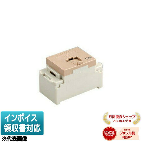 品名:モジュラーコンセント品種名:E’s配線器具※コチラの商品は受注生産品です。ご注文後のキャンセル・返品はお受けできません。