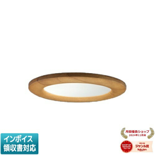 50Hz/60Hz 定格 固定出力 明るさ クラス60(FHT16形器具相当・白熱電球60形器具相当) 光色 電球色(3000K) 埋込穴 Φ150 定格電圧 (V) AC100~242V 定格光束 (lm) 500 定格消費電力 (W) ...