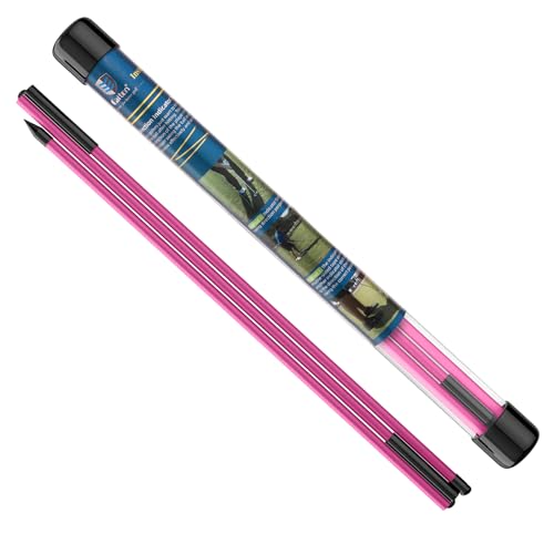 Pink/-/-・Color:Pink・「技術を向上させる」アマチュアこそ使ってもらいたいゴルフ練習器具のアライメントスティックとなります。日常の練習において正確なスイング、アドレスの確認、ボールの位置を意識して、方向を確かめつつ、自分のス...