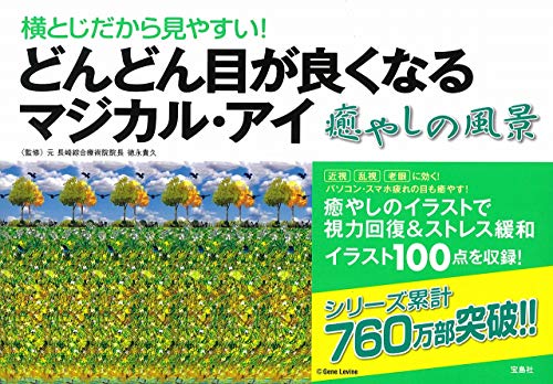 シリーズ累計650万部を超える「どんどん目が良くなるマジカル・アイ」シリーズ。そのシリーズの中でも人気のA5横サイズのマジカル・アイです。持ちやすいサイズと、横とじのため紙面いっぱいに3Dイラストを配置することができるという見栄えの良さを兼...