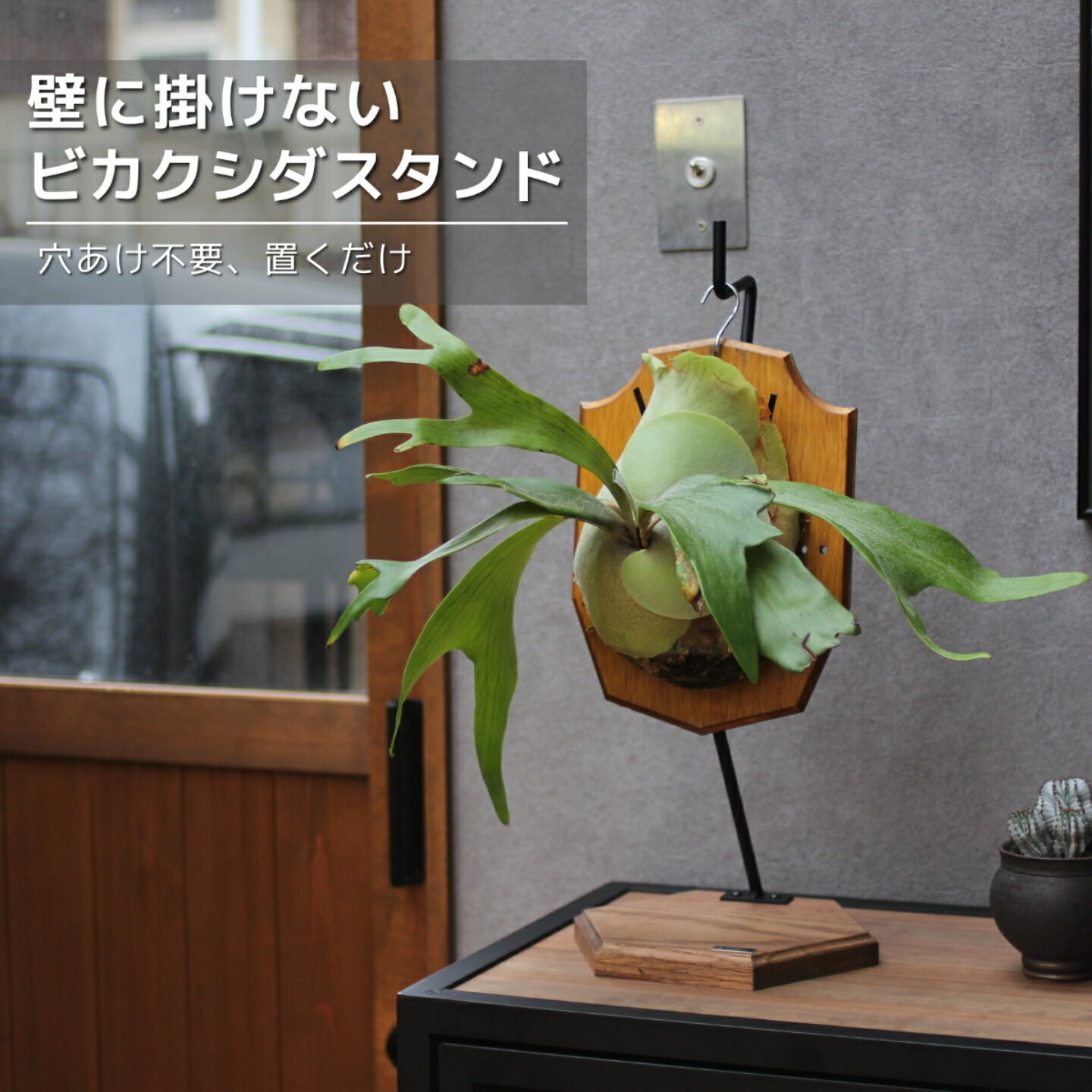 商品情報商品名ビカクシダスタンド商品詳細【壁に掛けない、ビカクシダスタンド】ビカクシダを飾りたい。でも、壁に穴は開けたくない。賃貸だし、位置も頻繁に変えたい。そんな声から、このスタンド式ビカクシダスタンドは生まれました。【穴あけ不要。置くだ...