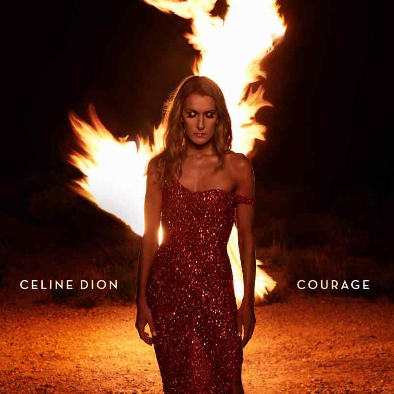 Courage (Deluxe Edition)【 ご注文確定のタイミングについて 】 商品は他サイトでも販売しているため、在庫反映にタイムラグが生じる場合がございます。入れ違いで完売となった際は、速やかにメールでご連絡の上、キャンセルのお...