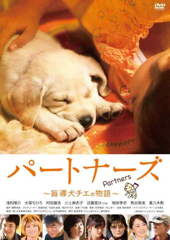 パートナーズ　～盲導犬チエの物語～ [DVD]【 ご注文確定のタイミングについて 】 商品は他サイトでも販売しているため、在庫反映にタイムラグが生じる場合がございます。入れ違いで完売となった際は、速やかにメールでご連絡の上、キャンセルのお手...