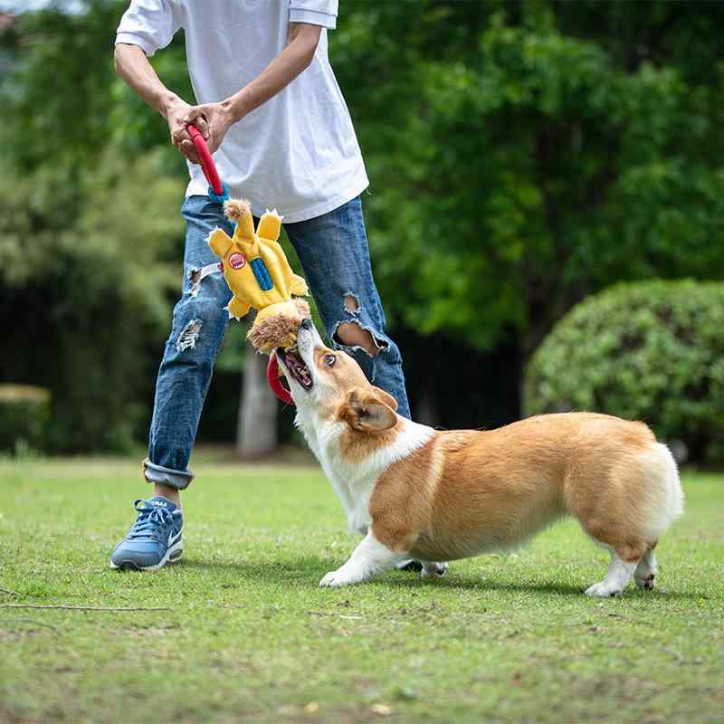 犬用おもちゃ ロープ ぬいぐるみ トラ ライオン ワニ 中型犬 大型犬 引っ張り 噛み耐性 丈夫 200g・カテゴリ: ペット用おもちゃ・素材: 毛・重量: 約 約200g・カラー: ラ環ワニ.ラ環ライオン.ラ環トラ