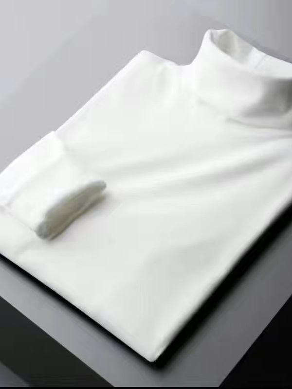 Tシャツ メンズ 男性用 ハイネック トップス カットソー 長袖 秋冬 暖かい 裏起毛 厚手 インナー 無地 ゆったり モーダル ブラウン カーキ ホワイト ダークグレー ブラック