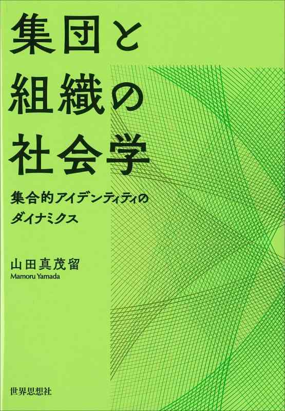 集団と組織の社会学―集合的アイデンティティのダイナミクス