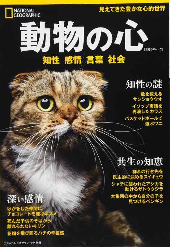 動物の心――知性 感情 言葉 社会 (ナショナル ジオグラフィック 別冊)【 ご注文確定のタイミングについて 】 商品は他サイトでも販売しているため、在庫反映にタイムラグが生じる場合がございます。入れ違いで完売となった際は、速やかにメールで...