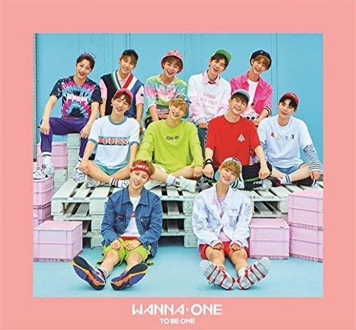 1×1=1(TO BE ONE)-JAPAN EDITION-(Pink Ver.)【JAPAN EDITON:CD+DVD)【 ご注文確定のタイミングについて 】 商品は他サイトでも販売しているため、在庫反映にタイムラグが生じる場合がござ...