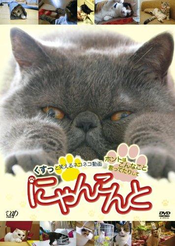 にゃんこんと~くすっと笑えるネコネコ動画 ホントはこんなこと言ってたりして~ [DVD]【 ご注文確定のタイミングについて 】 商品は他サイトでも販売しているため、在庫反映にタイムラグが生じる場合がございます。入れ違いで完売となった際は、速...