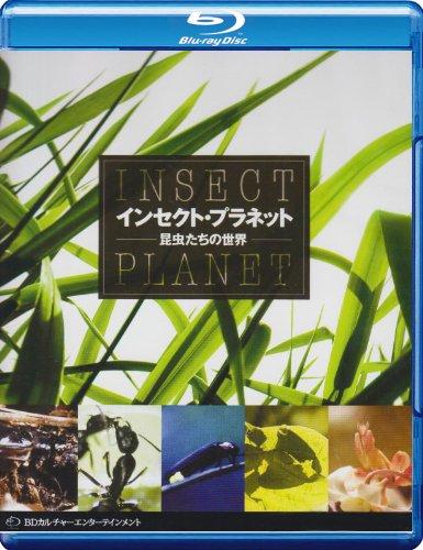 インセクト・プラネット　昆虫た [Blu-ray]【 ご注文確定のタイミングについて 】 商品は他サイトでも販売しているため、在庫反映にタイムラグが生じる場合がございます。入れ違いで完売となった際は、速やかにメールでご連絡の上、キャンセルの...