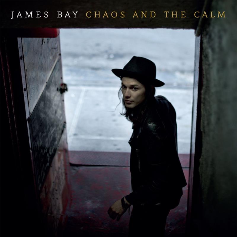 Chaos &amp; the Calm【 ご注文確定のタイミングについて 】 商品は他サイトでも販売しているため、在庫反映にタイムラグが生じる場合がございます。入れ違いで完売となった際は、速やかにメールでご連絡の上、キャンセルのお手続きを...
