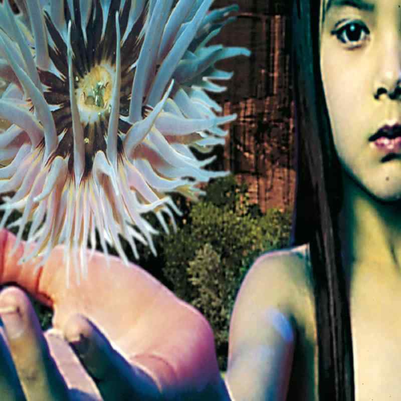 Lifeforms【 ご注文確定のタイミングについて 】 商品は他サイトでも販売しているため、在庫反映にタイムラグが生じる場合がございます。入れ違いで完売となった際は、速やかにメールでご連絡の上、キャンセルのお手続きをさせていただきます。 ...