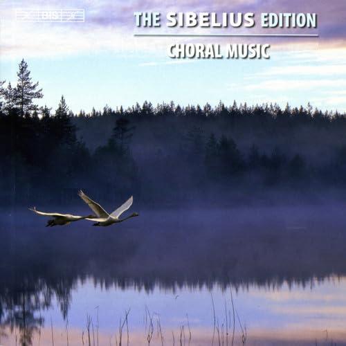 シベリウス完全全集 その11 合唱曲 (The Sibelius Edition - Choral Music Vol.11) (6CD)【 ご注文確定のタイミングについて 】 商品は他サイトでも販売しているため、在庫反映にタイムラグが生じ...