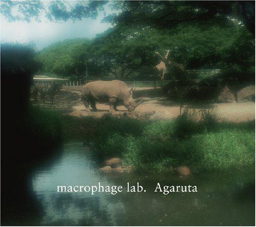 Grand Gallery presents AGARUTA【 ご注文確定のタイミングについて 】 商品は他サイトでも販売しているため、在庫反映にタイムラグが生じる場合がございます。入れ違いで完売となった際は、速やかにメールでご連絡の上、キ...