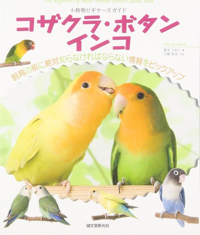 小動物ビギナーズガイドコザクラ・ボタンインコ: 飼育の前に絶対知らなければならない情報をピックアップ (SMALL ANIMAL POCKET BOOK SERIES)availability【 ご注文確定のタイミングについて 】 商品は他...