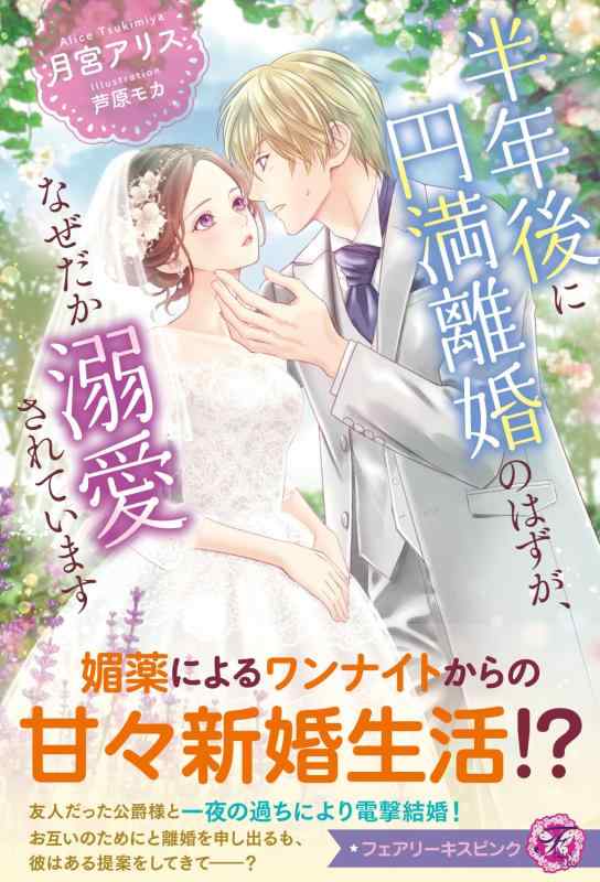 半年後に円満離婚のはずが、なぜだか溺愛されています (フェアリーキス ピンク)【 ご注文確定のタイミングについて 】 商品は他サイトでも販売しているため、在庫反映にタイムラグが生じる場合がございます。入れ違いで完売となった際は、速やかにメー...