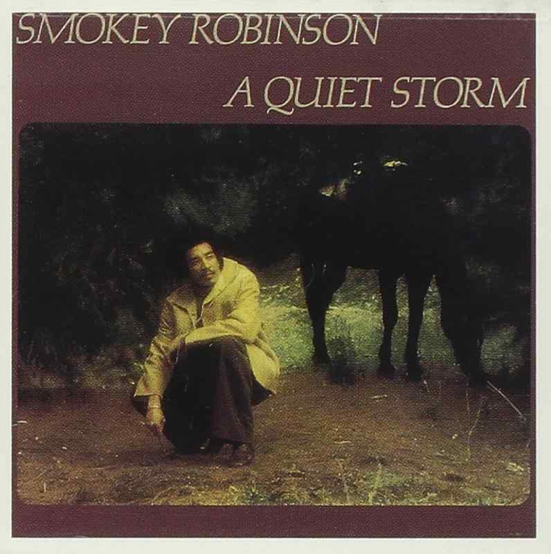Quiet Storm【 ご注文確定のタイミングについて 】 商品は他サイトでも販売しているため、在庫反映にタイムラグが生じる場合がございます。入れ違いで完売となった際は、速やかにメールでご連絡の上、キャンセルのお手続きをさせていただきます...