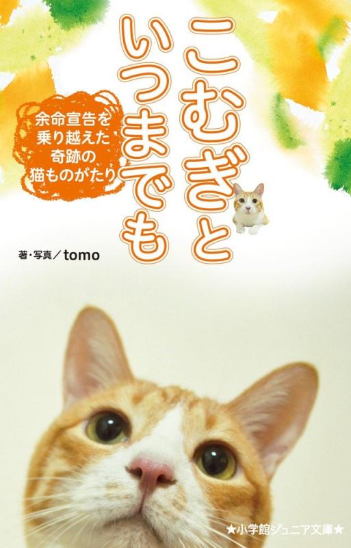 こむぎといつまでも: 余命宣告を乗り越えた奇跡の猫ものがたり (小学館ジュニア文庫 と 1-1)【 ご注文確定のタイミングについて 】 商品は他サイトでも販売しているため、在庫反映にタイムラグが生じる場合がございます。入れ違いで完売となった...