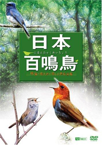シンフォレストDVD 日本百鳴鳥　映像と鳴き声で愉しむ野鳥図鑑【 ご注文確定のタイミングについて 】 商品は他サイトでも販売しているため、在庫反映にタイムラグが生じる場合がございます。入れ違いで完売となった際は、速やかにメールでご連絡の上、...
