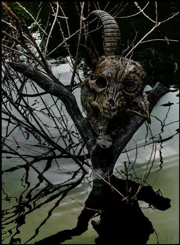 the GazettE LIVE TOUR13-14[MAGNIFICENT MALFORMED BOX]FINAL CODA LIVE AT 01.11 YOKOHAMA ARENA(盤 [DVD]【 ご注文確定のタイミングについて 】 ...