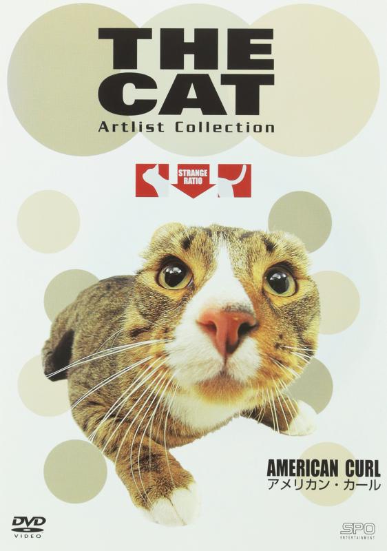 THE CAT ~アメリカン・カール~ [DVD]【 ご注文確定のタイミングについて 】 商品は他サイトでも販売しているため、在庫反映にタイムラグが生じる場合がございます。入れ違いで完売となった際は、速やかにメールでご連絡の上、キャンセルの...