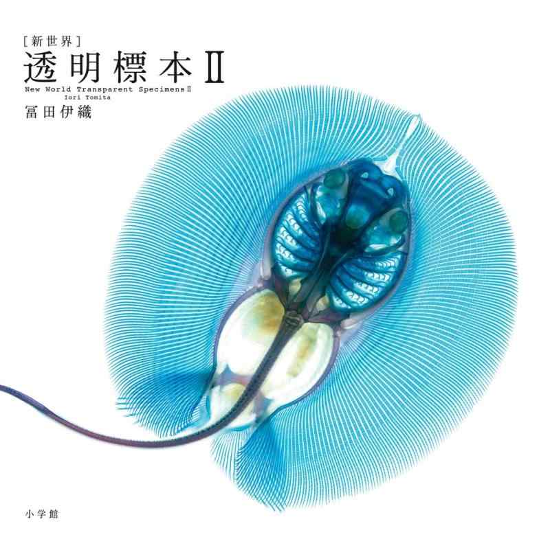 [新世界]透明標本: New World Transparent Specimens 2 (2)【 ご注文確定のタイミングについて 】 商品は他サイトでも販売しているため、在庫反映にタイムラグが生じる場合がございます。入れ違いで完売となった...