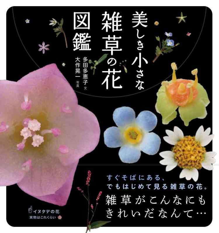美しき小さな雑草の花図鑑【 ご注文確定のタイミングについて 】 商品は他サイトでも販売しているため、在庫反映にタイムラグが生じる場合がございます。入れ違いで完売となった際は、速やかにメールでご連絡の上、キャンセルのお手続きをさせていただきま...