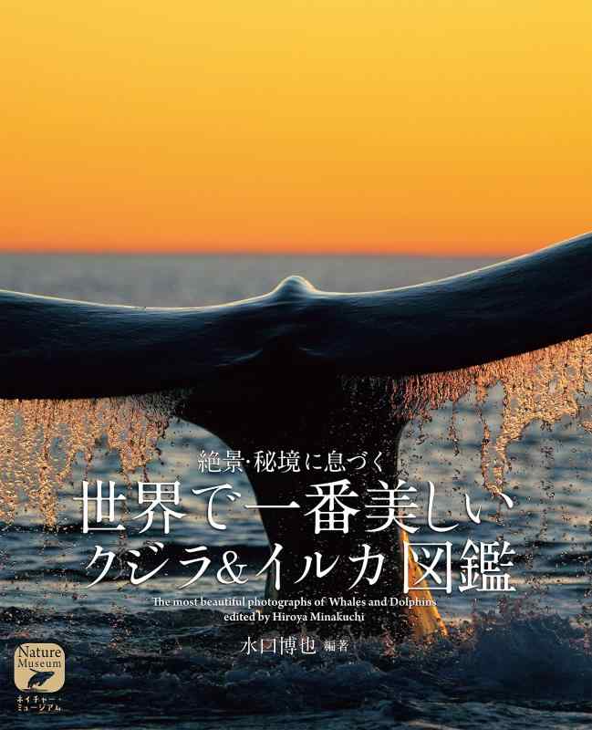 世界で一番美しい クジラ&amp;イルカ図鑑: 絶景・秘境に息づく (ネイチャー・ミュージアム)【 ご注文確定のタイミングについて 】 商品は他サイトでも販売しているため、在庫反映にタイムラグが生じる場合がございます。入れ違いで完売となった...