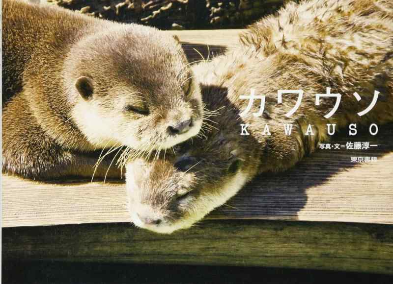 カワウソ【 ご注文確定のタイミングについて 】 商品は他サイトでも販売しているため、在庫反映にタイムラグが生じる場合がございます。入れ違いで完売となった際は、速やかにメールでご連絡の上、キャンセルのお手続きをさせていただきます。 【 ご購入...