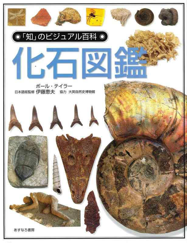 化石図鑑 (「知」のビジュアル百科 4)【 ご注文確定のタイミングについて 】 商品は他サイトでも販売しているため、在庫反映にタイムラグが生じる場合がございます。入れ違いで完売となった際は、速やかにメールでご連絡の上、キャンセルのお手続きを...