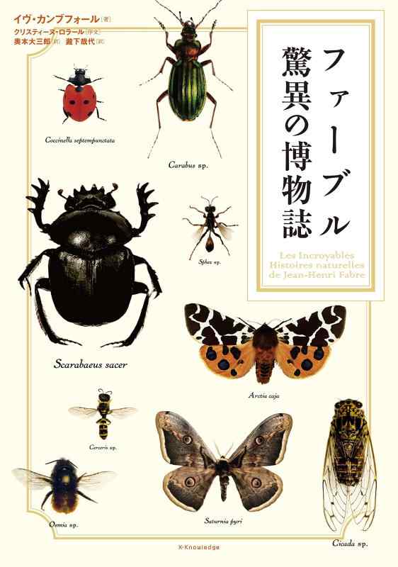 ファーブル驚異の博物誌【 ご注文確定のタイミングについて 】 商品は他サイトでも販売しているため、在庫反映にタイムラグが生じる場合がございます。入れ違いで完売となった際は、速やかにメールでご連絡の上、キャンセルのお手続きをさせていただきます...
