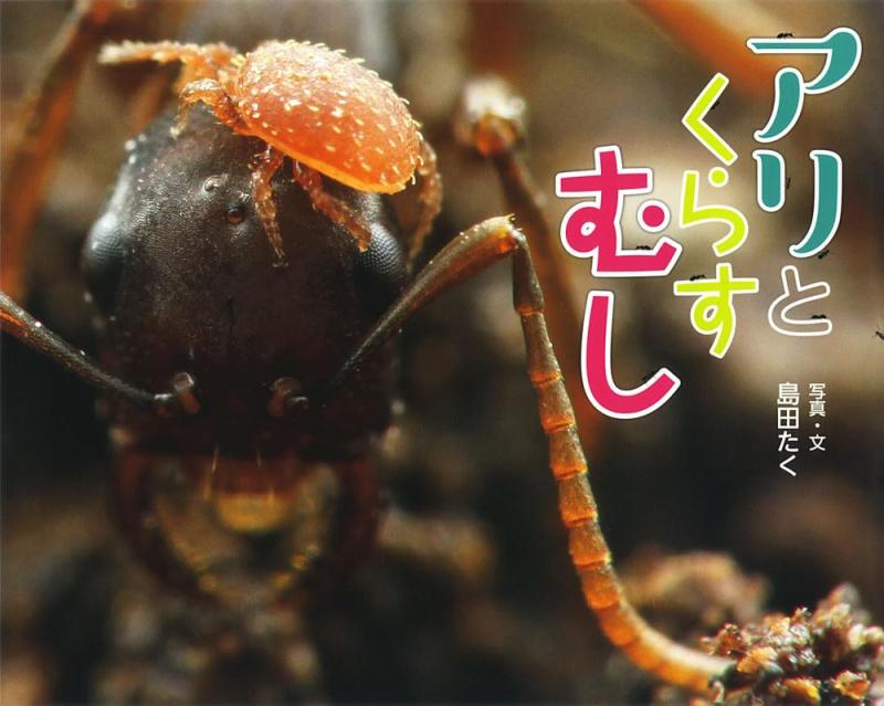 アリとくらすむし (ふしぎいっぱい写真絵本 26)【 ご注文確定のタイミングについて 】 商品は他サイトでも販売しているため、在庫反映にタイムラグが生じる場合がございます。入れ違いで完売となった際は、速やかにメールでご連絡の上、キャンセルの...