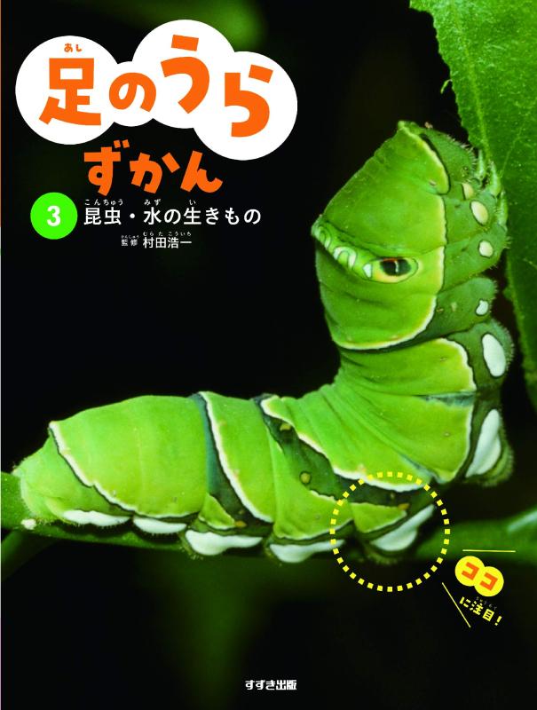 足のうらずかん 3 昆虫・水の生きもの【 ご注文確定のタイミングについて 】 商品は他サイトでも販売しているため、在庫反映にタイムラグが生じる場合がございます。入れ違いで完売となった際は、速やかにメールでご連絡の上、キャンセルのお手続きをさ...